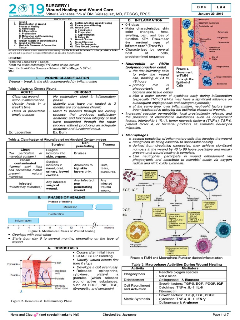 Wound Healing and Care Overview | PDF | Wound Healing | Extracellular ...