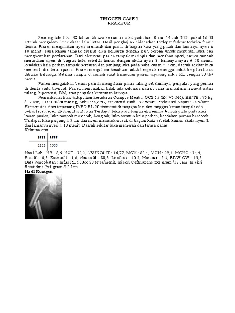Trigger Case 1 Fraktur | PDF