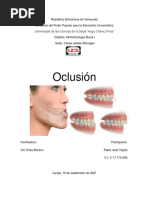 Rizolisis Dental 2 | PDF | Hueso | Inflamación