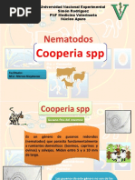 Morfología y ciclo de vida de Otobius megnini | PDF