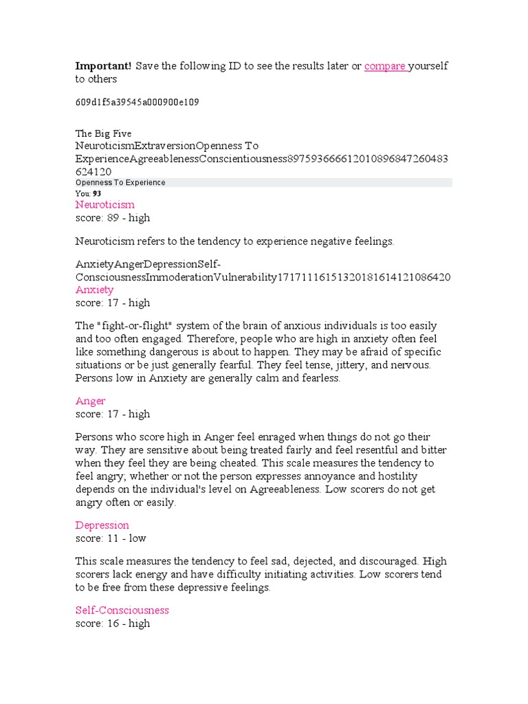 Big 5 Minha Análise | PDF | Anxiety | Intelligence