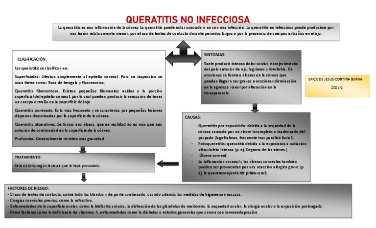 Queratitis No Infecciosa | PDF | Ojo humano | Ciencias de la Salud