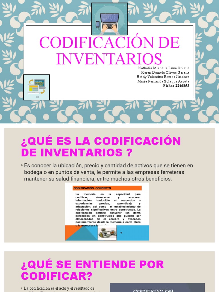 Codificación de Inventarios | PDF | Informática | Business
