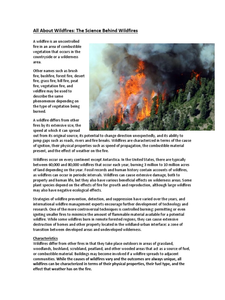 All About Wildfires | PDF | Wildfire | Fires