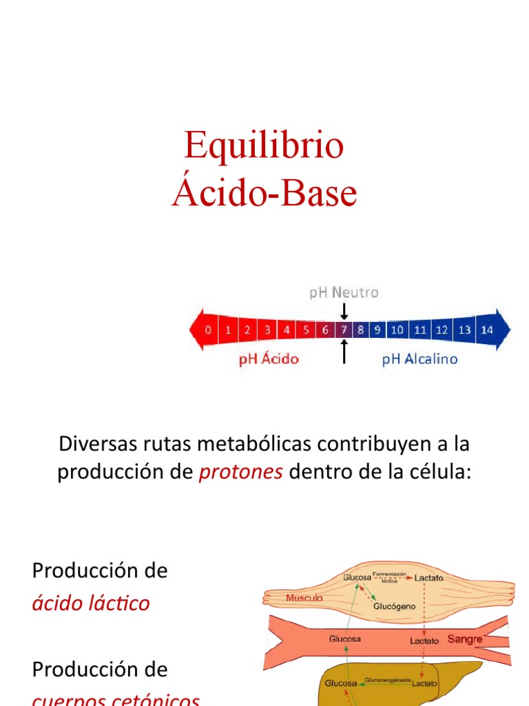 Equilibrio Acido-Base | PDF | Fisiología | Metabolismo