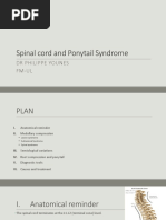 Scottie Dog Sign | PDF | Vertebra | Skeletal System