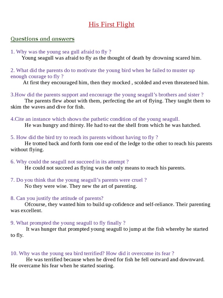 His First Flight - Notes | PDF