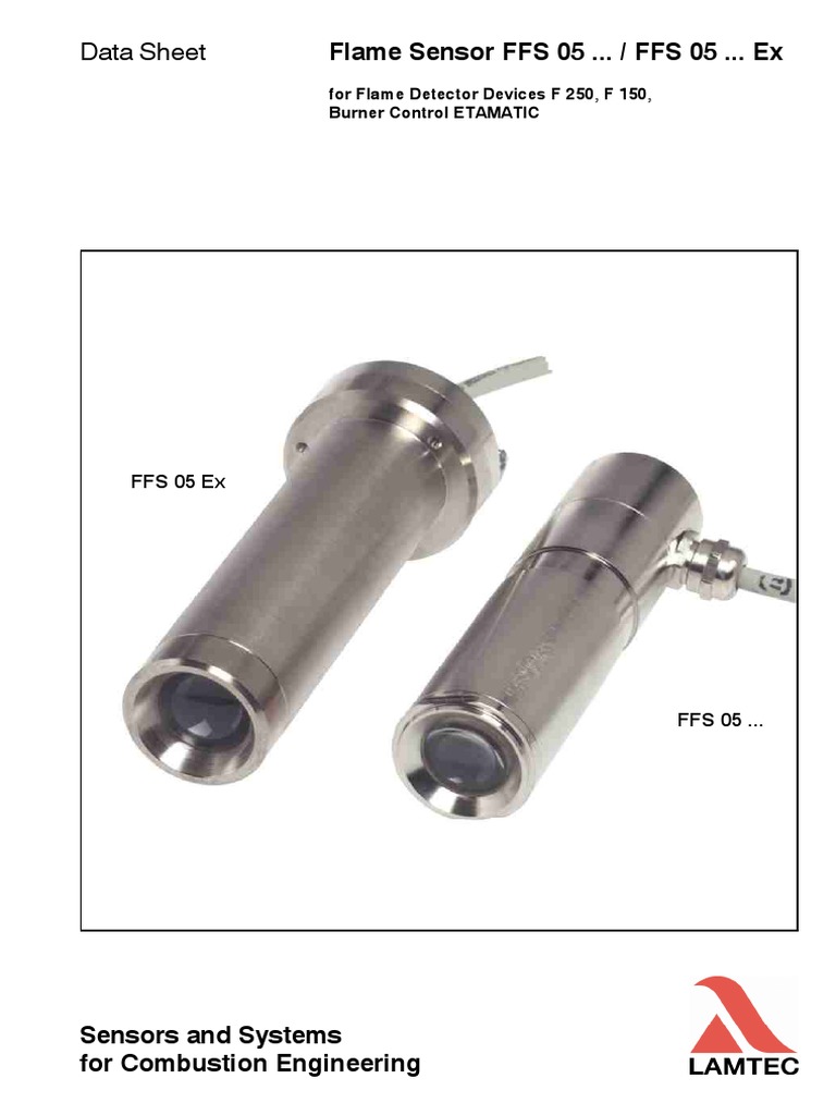 TD FFS05 | PDF | Fires | Ultraviolet