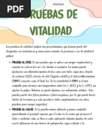 Líneas de Terminación | PDF | Dentadura postiza | Diente