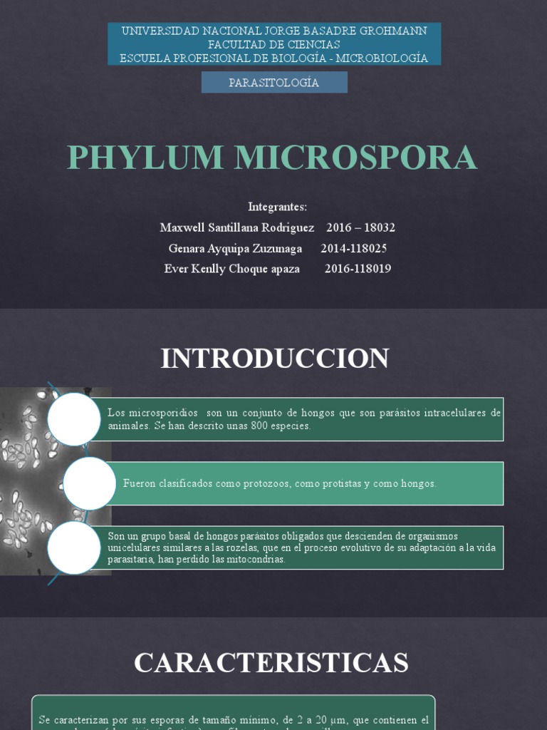 Características del Phylum Microspora | PDF | Hongo | Organismos