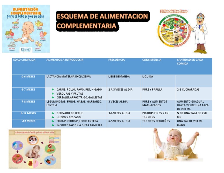 Esquema de Alimentacion Complementaria | PDF | Cocina, comidas y vino