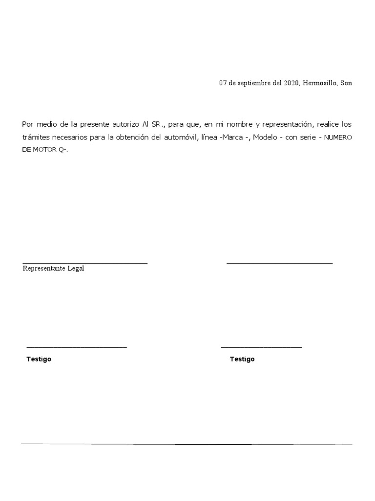 Carta Poder Simple | PDF