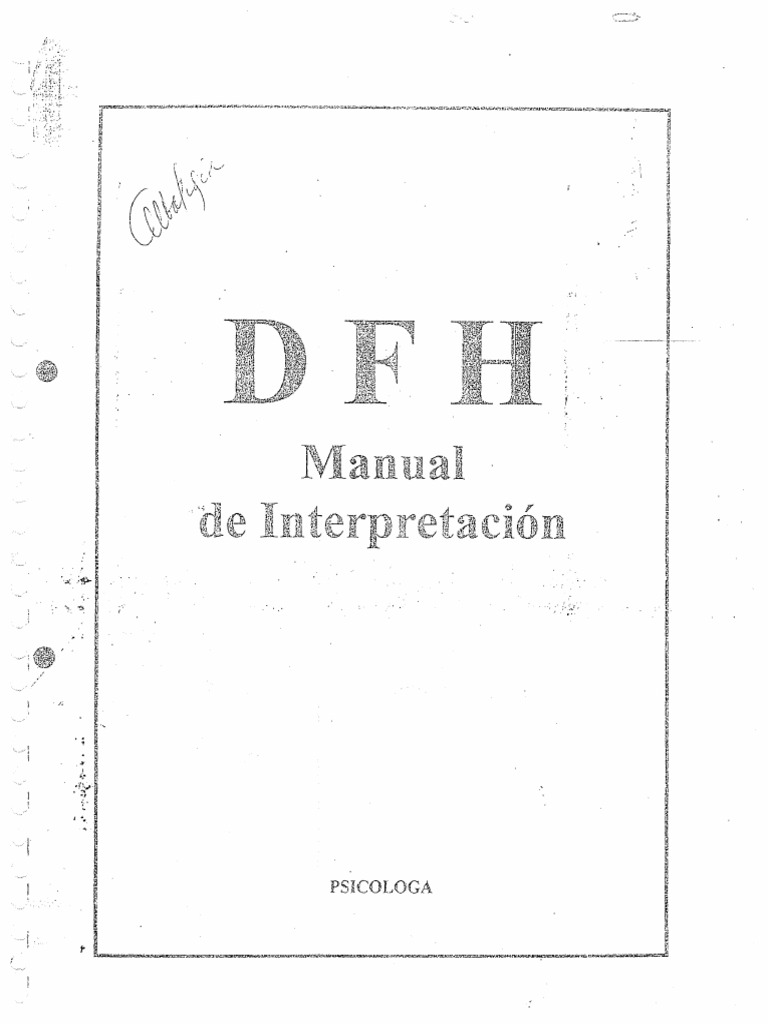 DFH Manual de Interpretacion | PDF