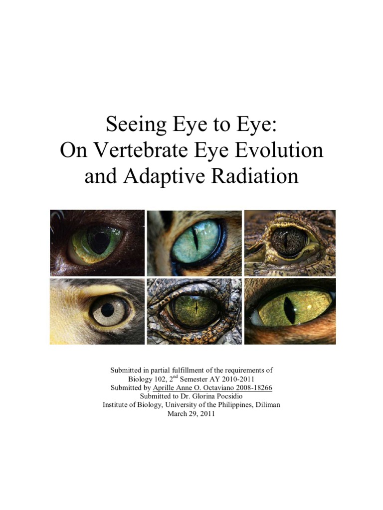 Seeing Eye To Eye: Vertebrate Eye Evolution and Adaptive Radiation ...