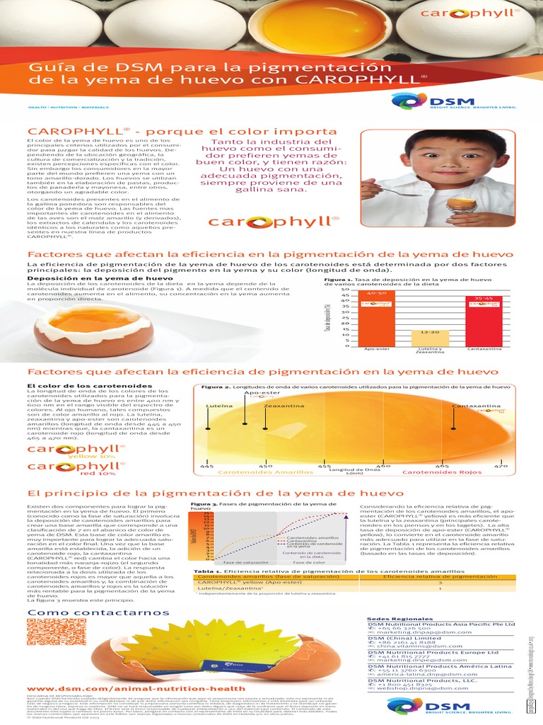 Carophyll Guidelines Amended SPAN Web | PDF | Huevo como alimento | Color