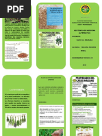Triptico de Planta Medicinal | PDF | Plantas medicinales | Agua