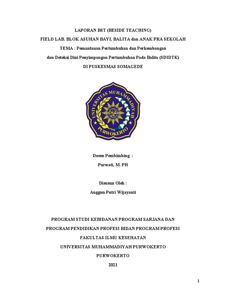 Laporan BST Sdidtk | PDF