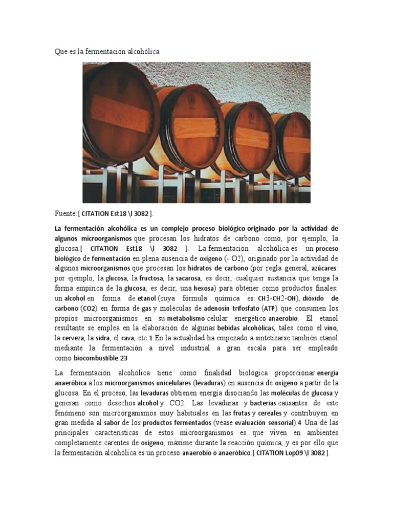 Que Es La Fermentación Alcohólica Pdf Levadura Glucólisis
