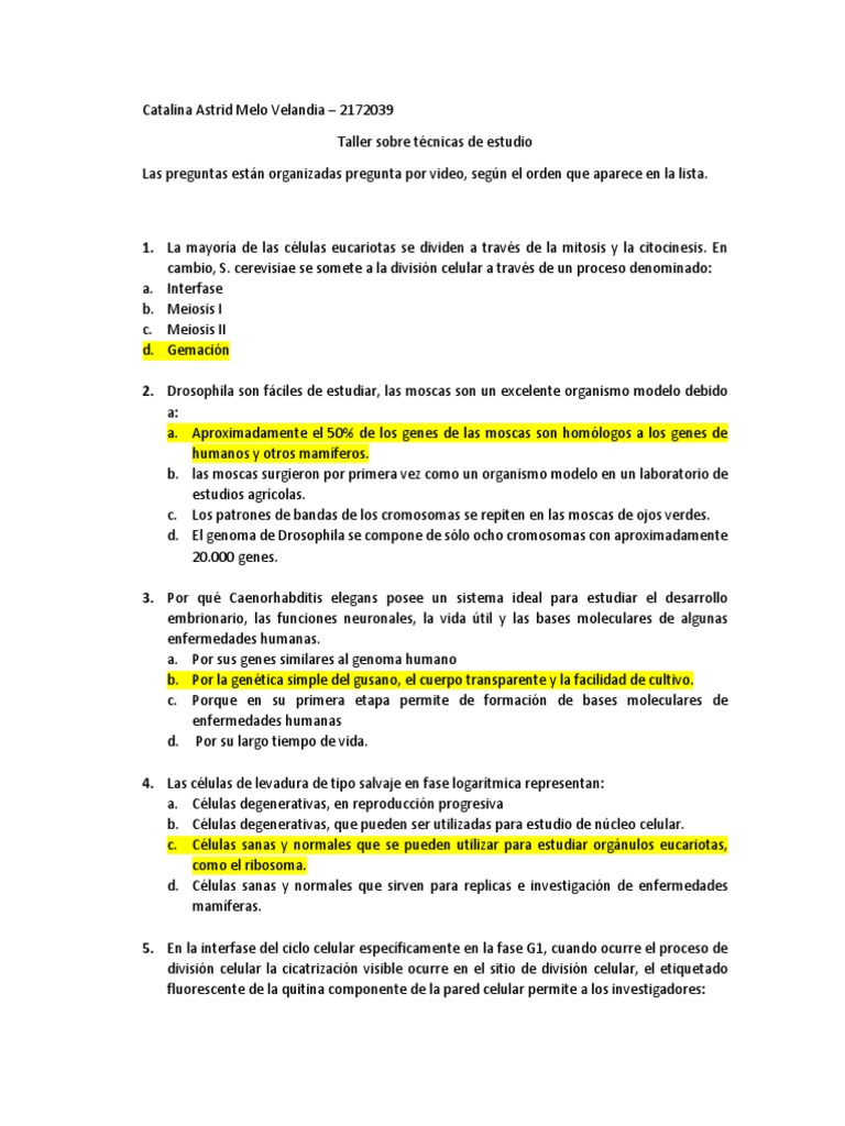 Taller Sobre Tecnicas de Estudio | PDF | Biología Celular) | Mitosis