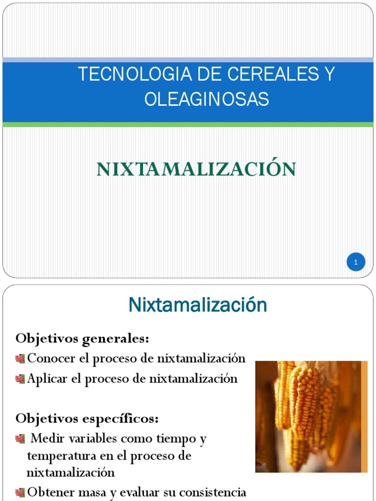 Nixtamalizacion 2101 | PDF | Maíz | Comida y bebida