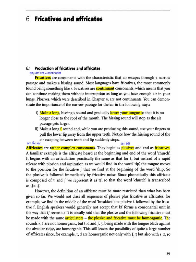 Chapter 6 - Fricatives and Affricates | PDF | Consonant | Phonetics