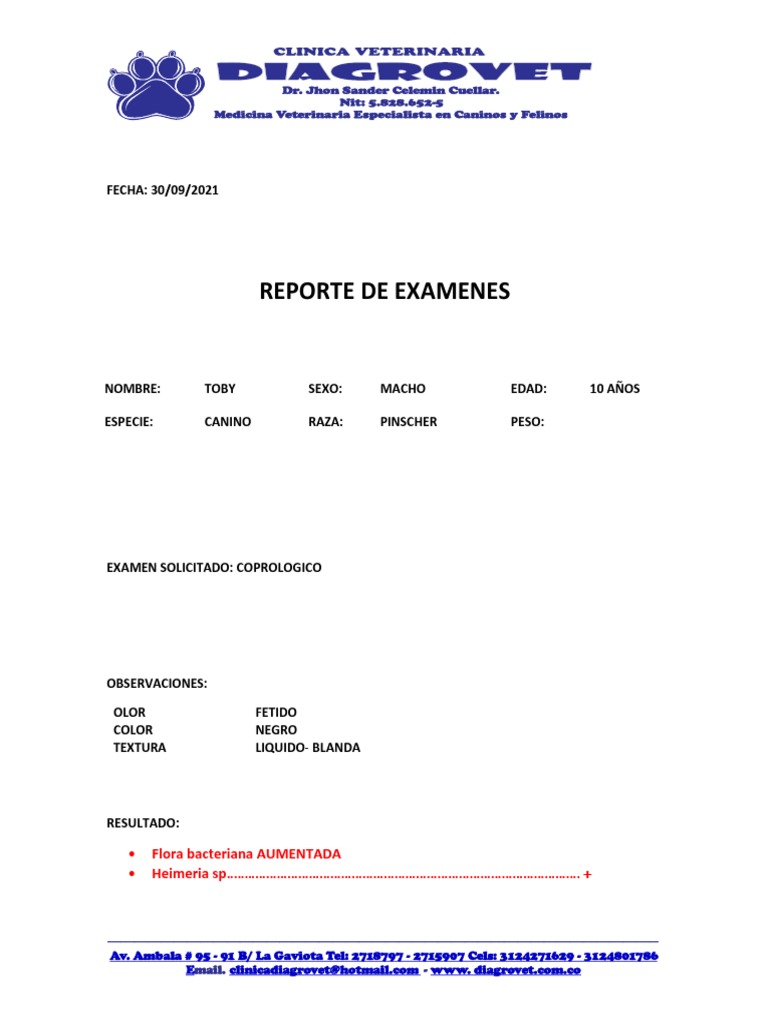 Resultados de examen coprologico revelan infeccion por Heimeria sp. en ...