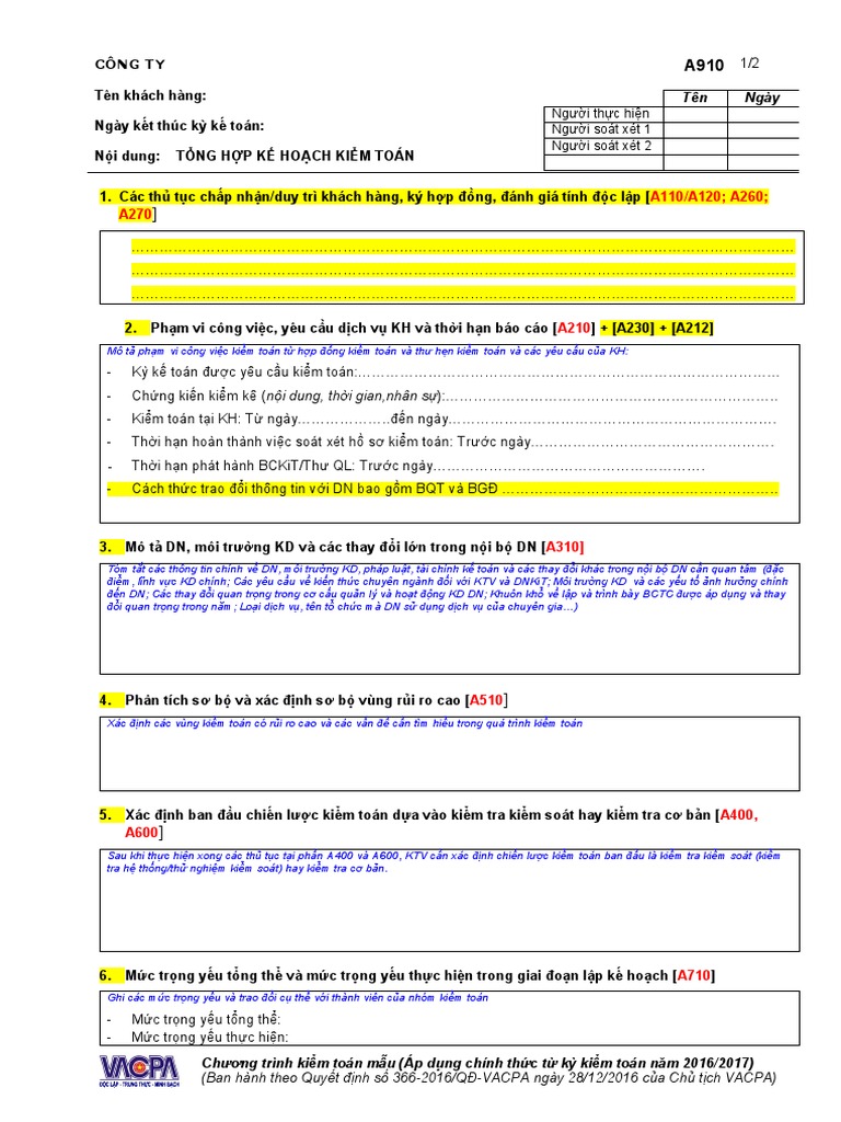 A910 Tong Hop Ke Hoach Kiem Toan (X) | PDF