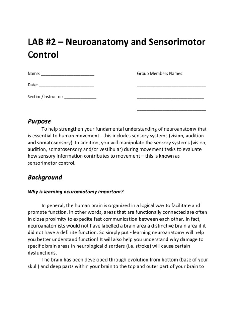 Lab 2 - Neuroanatomy and Sensorimotor Control | PDF | Central Nervous ...