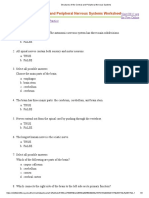 Nervous System Worksheet Grade 5 | PDF | Nervous System | Spinal Cord