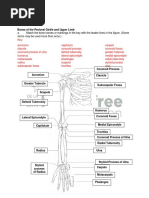 206 Bones Reviewer | PDF | Anatomical Terms Of Location | Limbs (Anatomy)