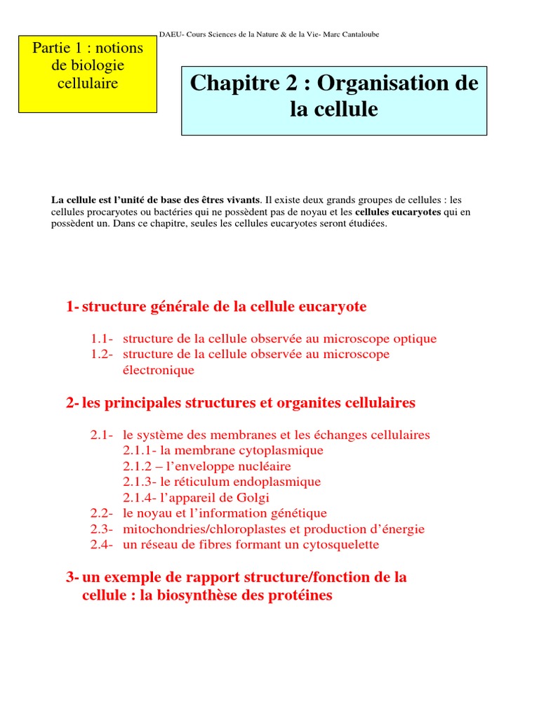 Organisation de La Cellule | PDF | Cellule (Biologie) | Cytoplasme