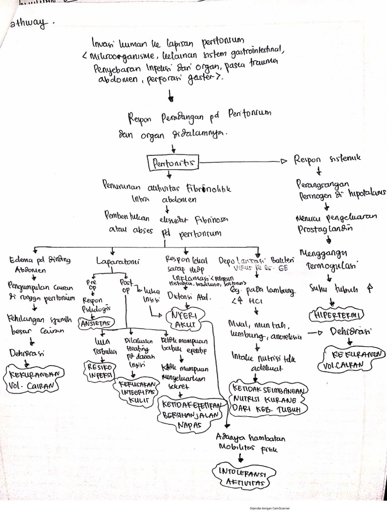 Woc Peritonitis | PDF