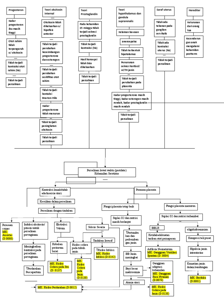 Woc Partus Postdate | PDF