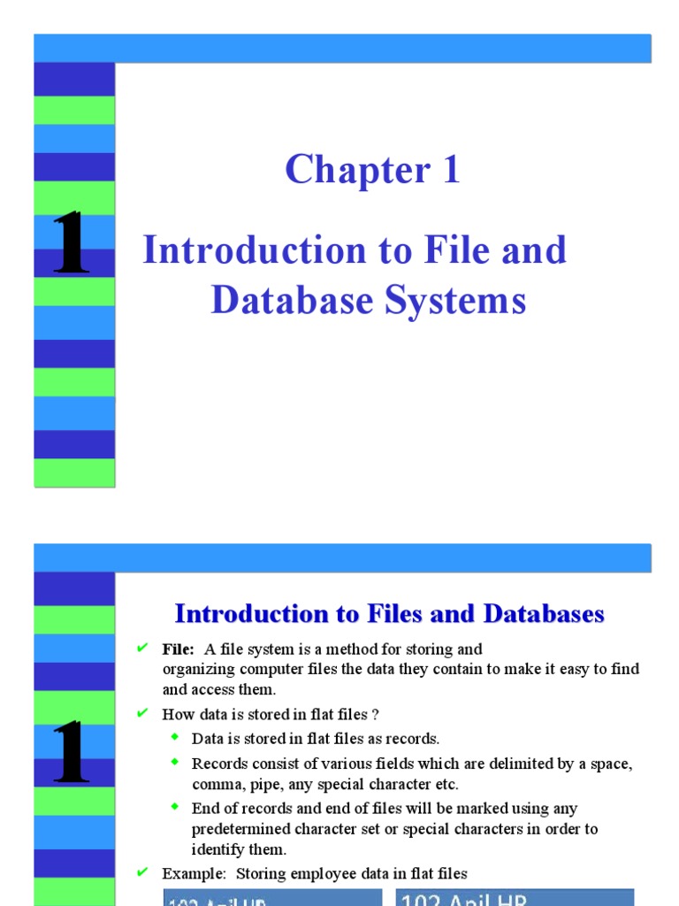 Introduction To File and Database Systems | PDF | Databases | Computer File