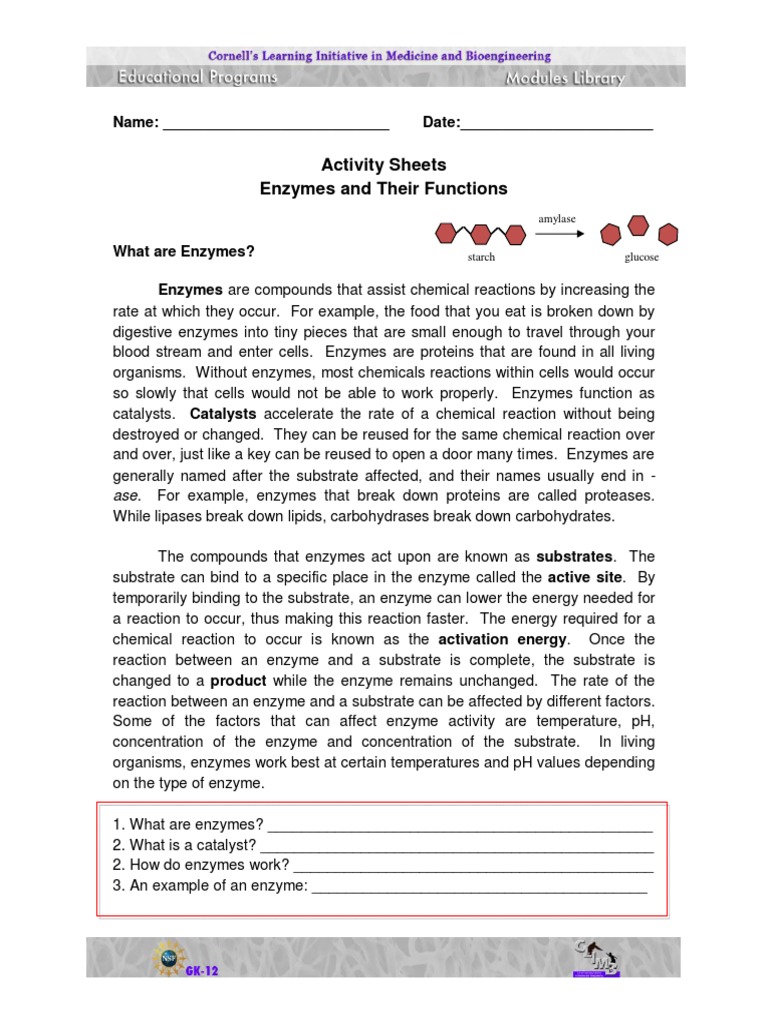 Enzymes and Their Functions - Activity Sheets | PDF | Enzyme ...