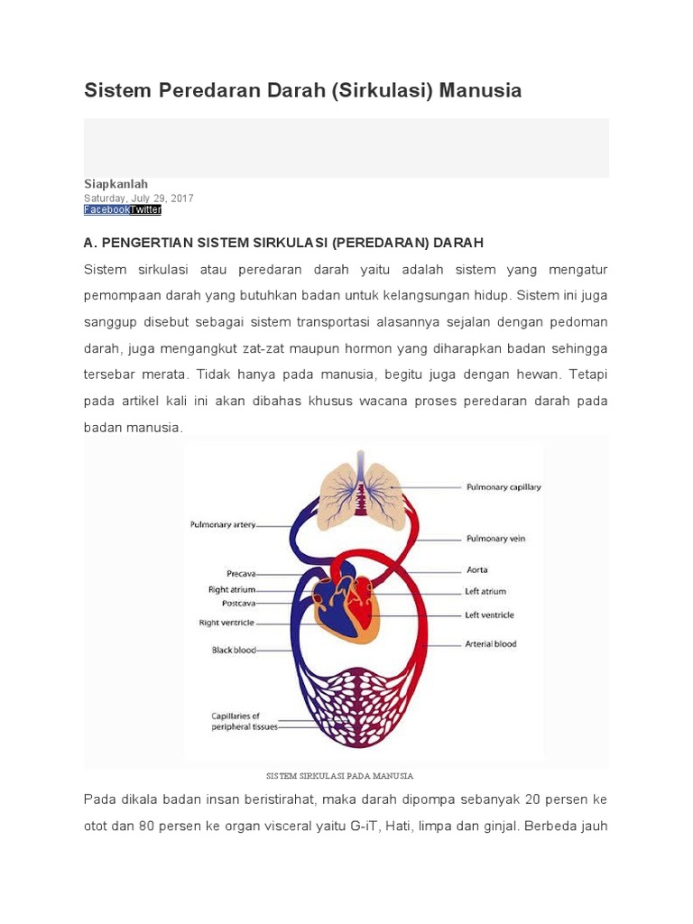 Bahan Ajar Sistem Peredaran Darah | PDF