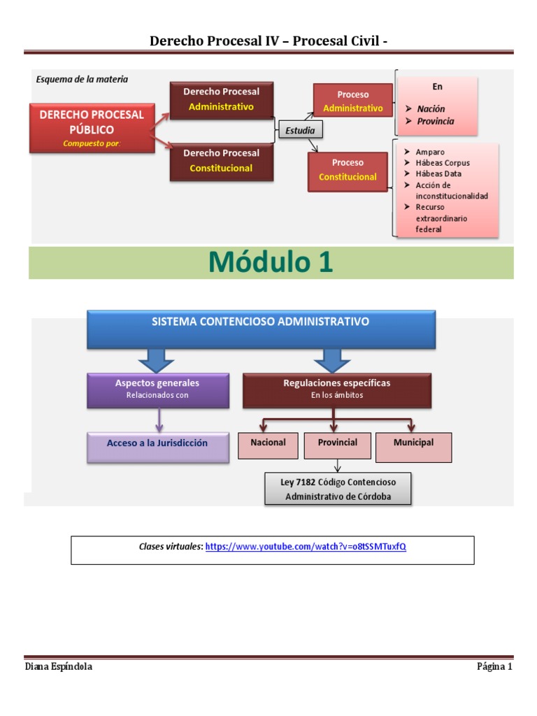 Procesal para Examen Efip Resumido 2 | PDF | Ley procesal | Juez