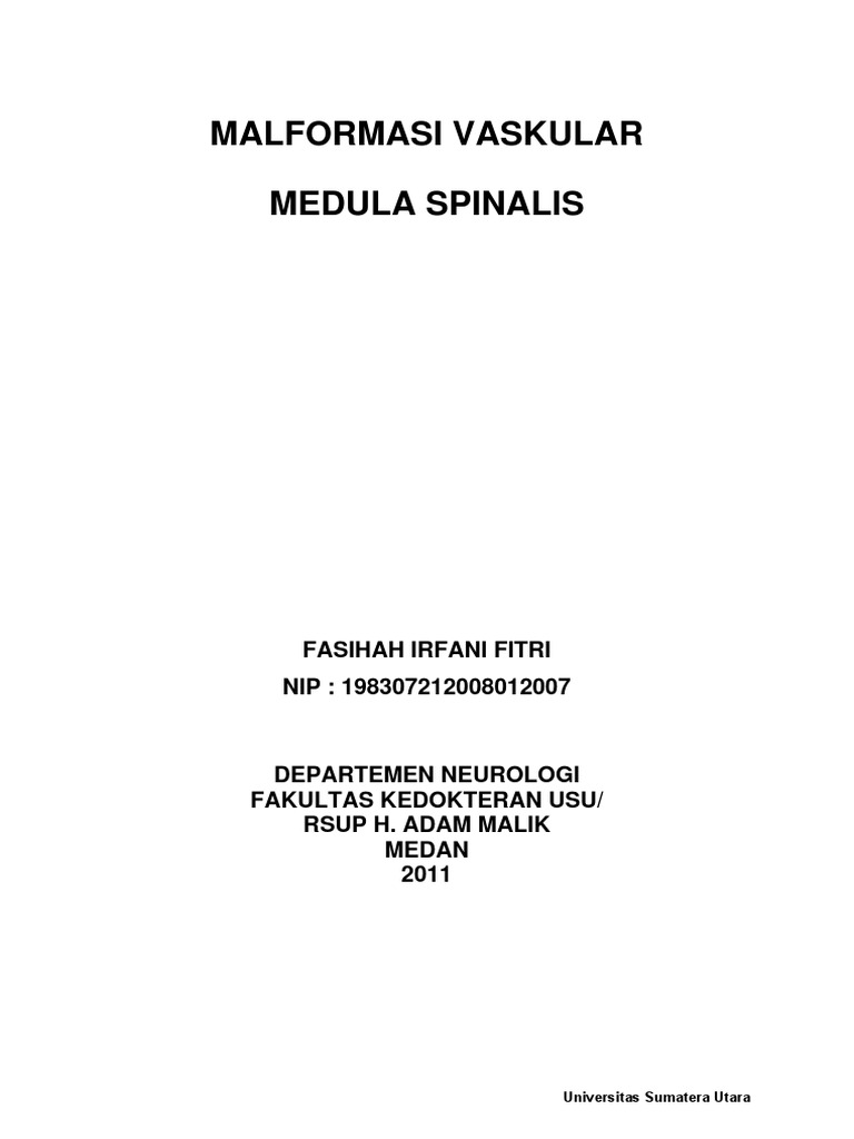 Malformasi Vaskular Medula Spinalis | PDF