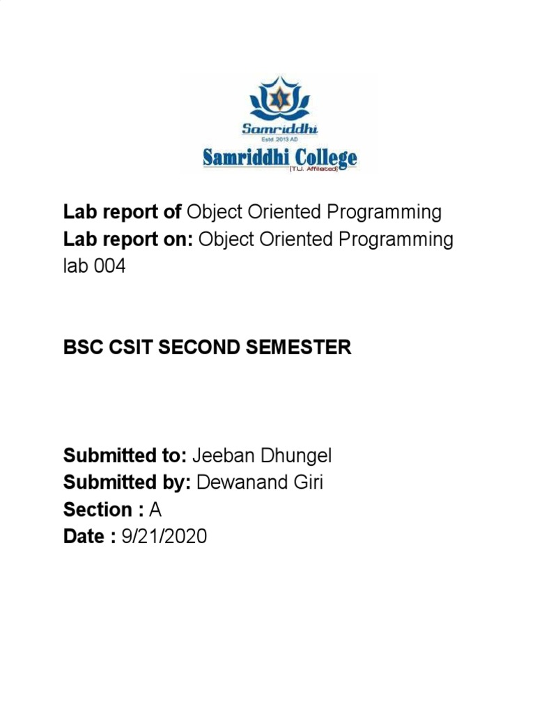 Object Oriented Programming Object Oriented Programming Lab 004 | PDF | Computer Programming ...