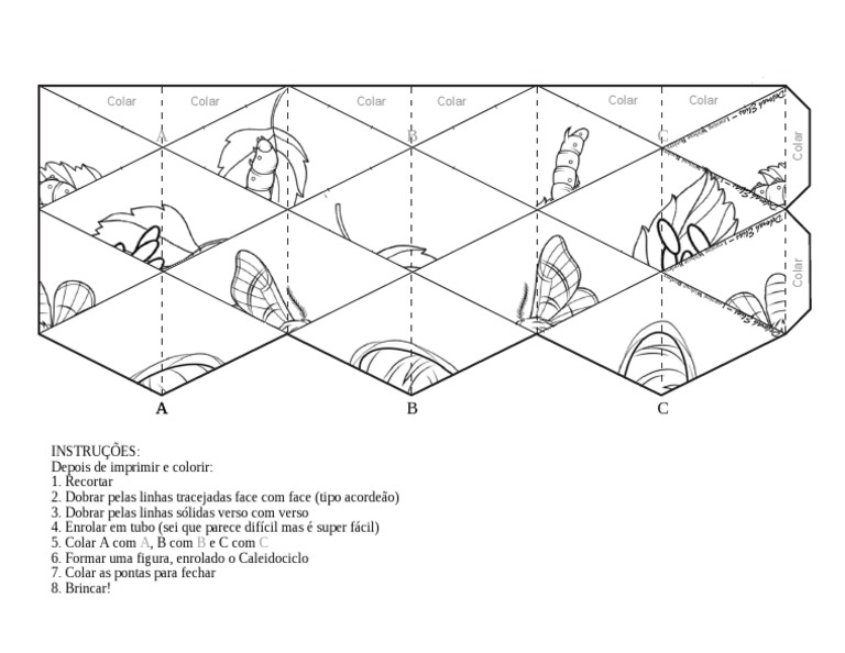Caleidociclo - Ciclo de Vida Do Bicho Da Seda | PDF