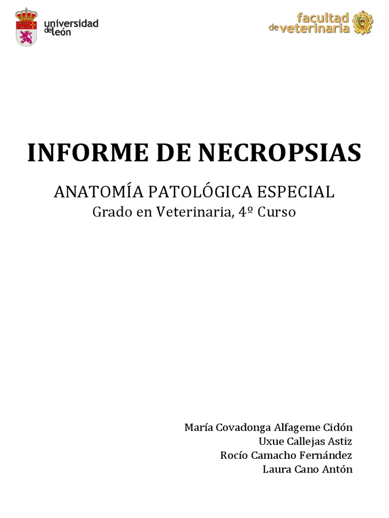Informe de Necropsias | PDF | Abdomen | Diarrea
