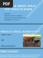 Goat Quiz Bowl Questions and Answers | PDF | Goat | Ruminant
