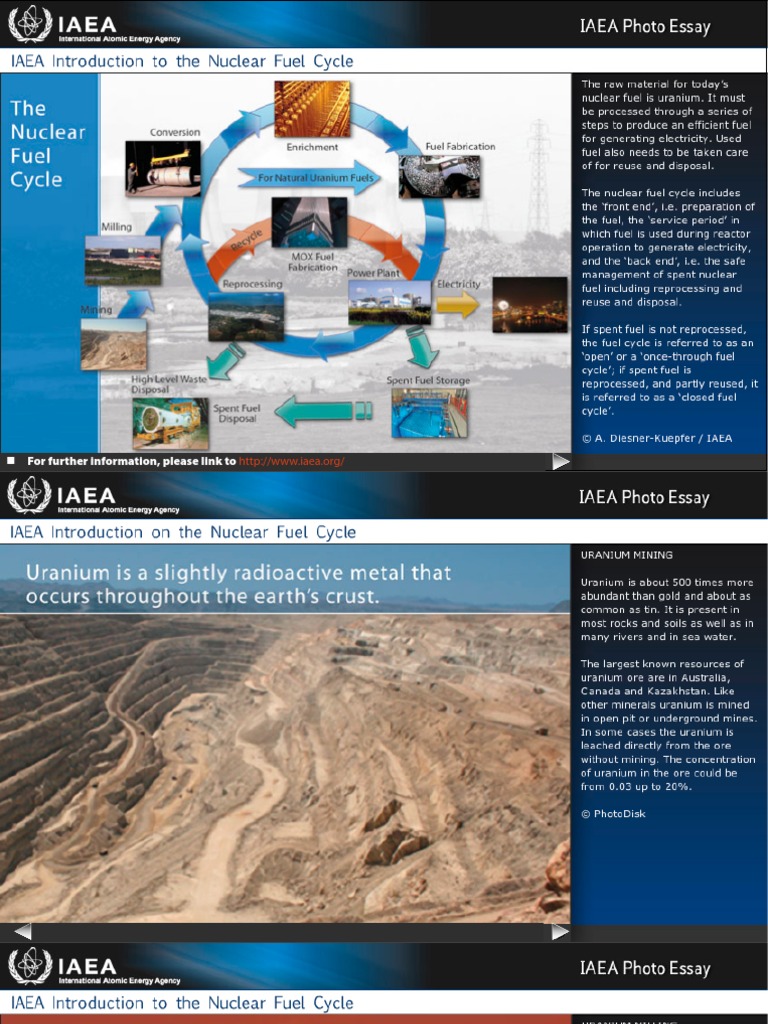 IAEA Information and Resources Link | PDF | Home & Garden | Science ...