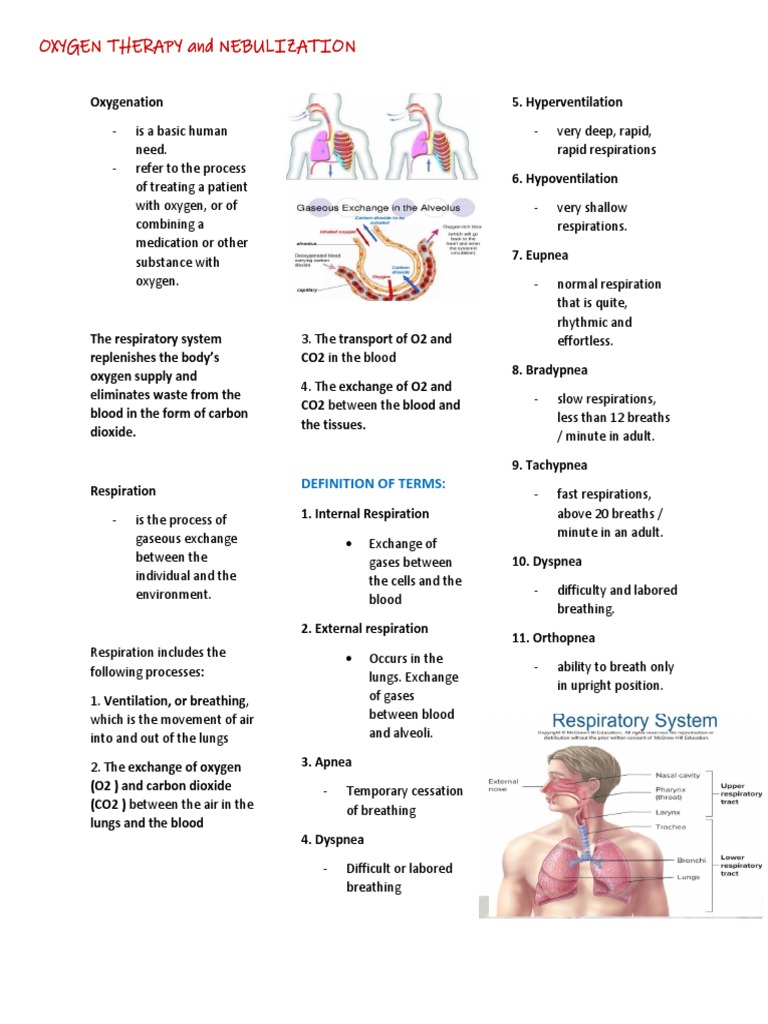 Oxygen Therapy and Nebulization Guide | PDF | Respiratory Tract | Breathing
