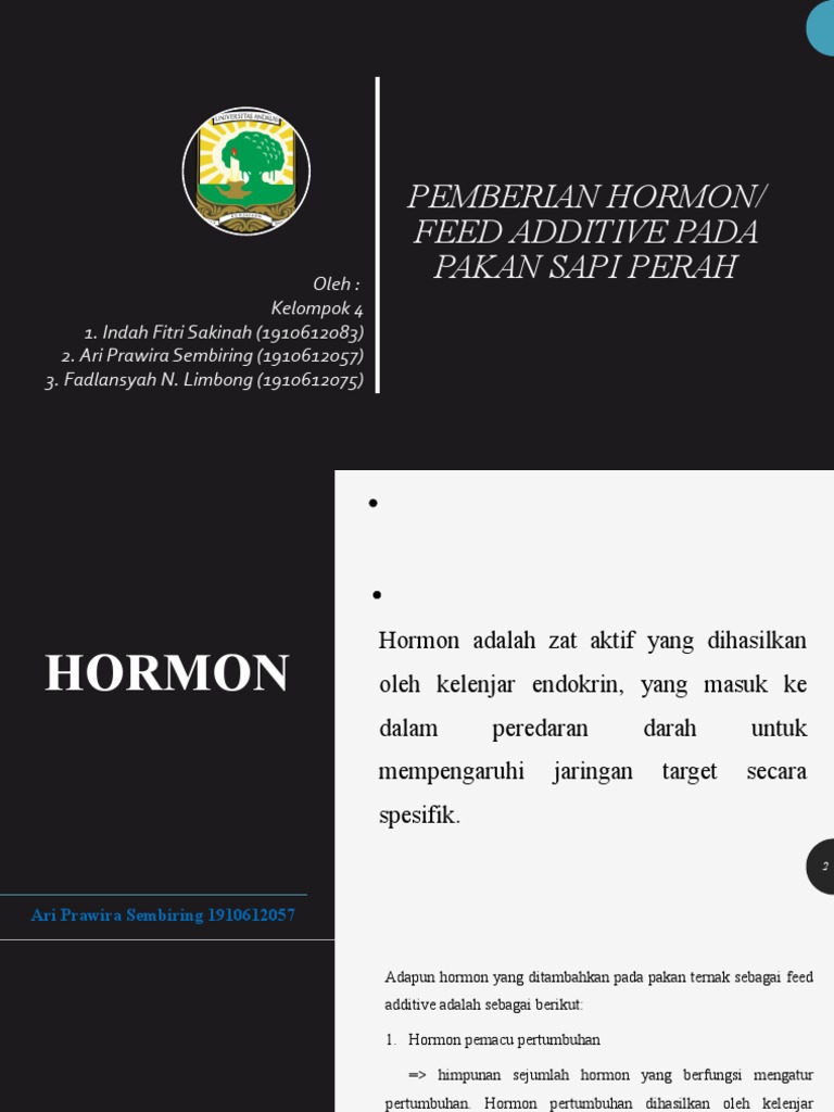 Hormon pada Pakan Sapi Perah | PDF