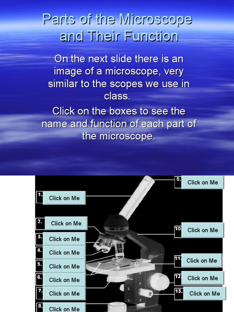 Parts of The Microscope and Functions PPT 1 | PDF | Natural Philosophy ...