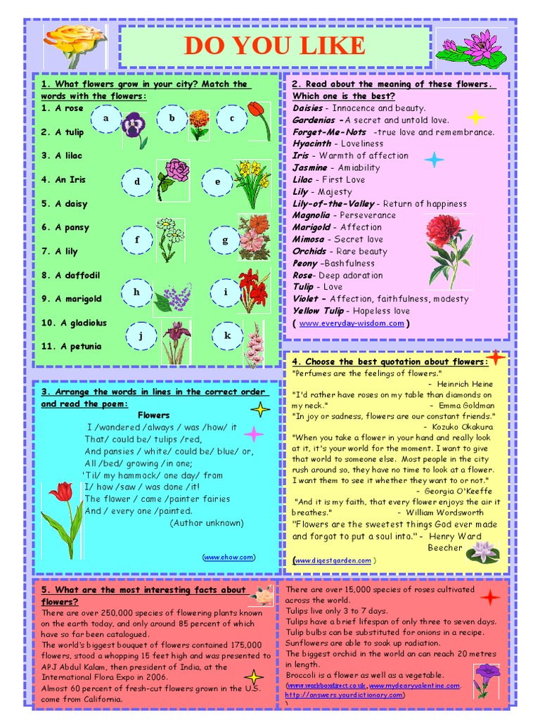 FISA LUCRU OPTIONAL ENGLEZA Do-You-Like-Flowers - 20298 | PDF | Flowers | Horticulture And Gardening