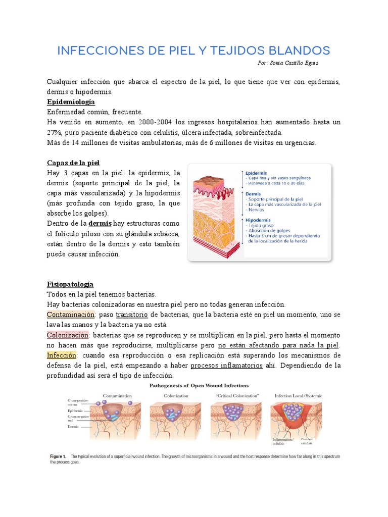Infecciones de Piel y Tejidos Blandos | PDF | Penicilina | Staphylococcus Aureus