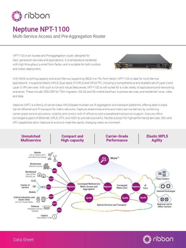 Neptune NPT-1100: Multi-Service Access and Pre-Aggregation Router | PDF ...