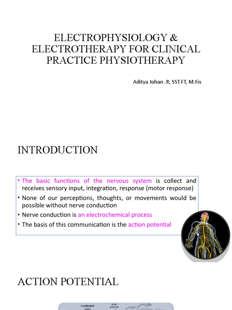 Electrophysiology In Physiotherapy Pdf Membrane Potential Ion Channel